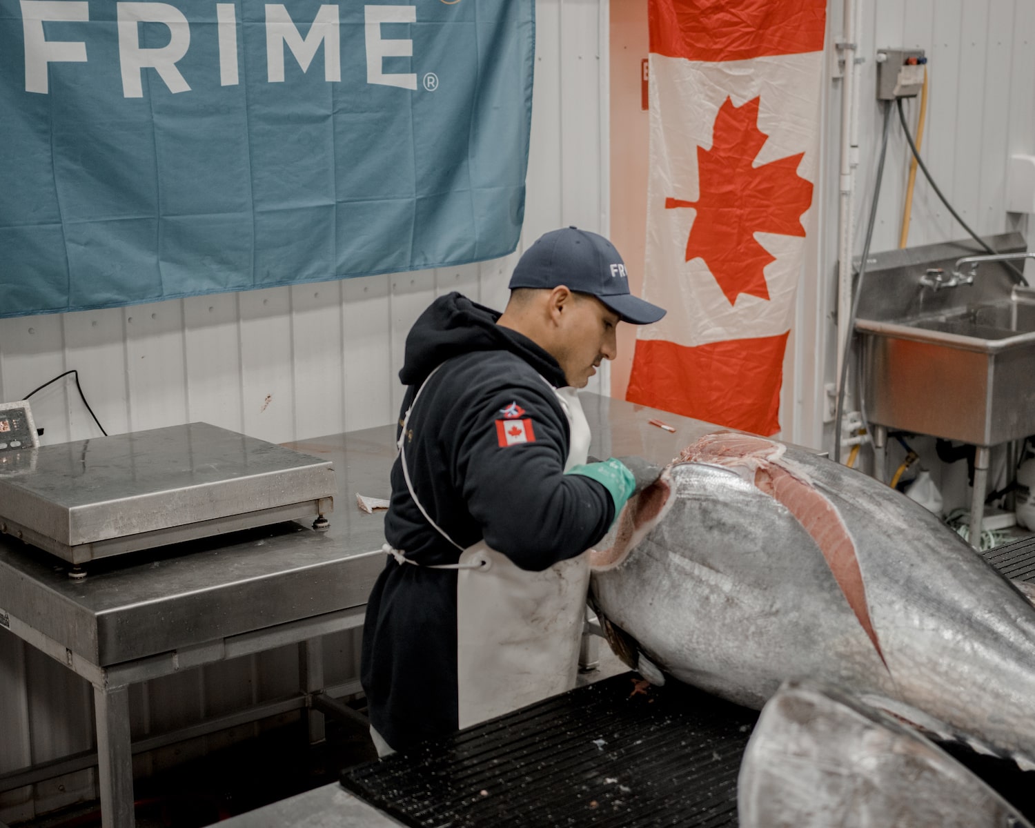 Our company - One TUNA